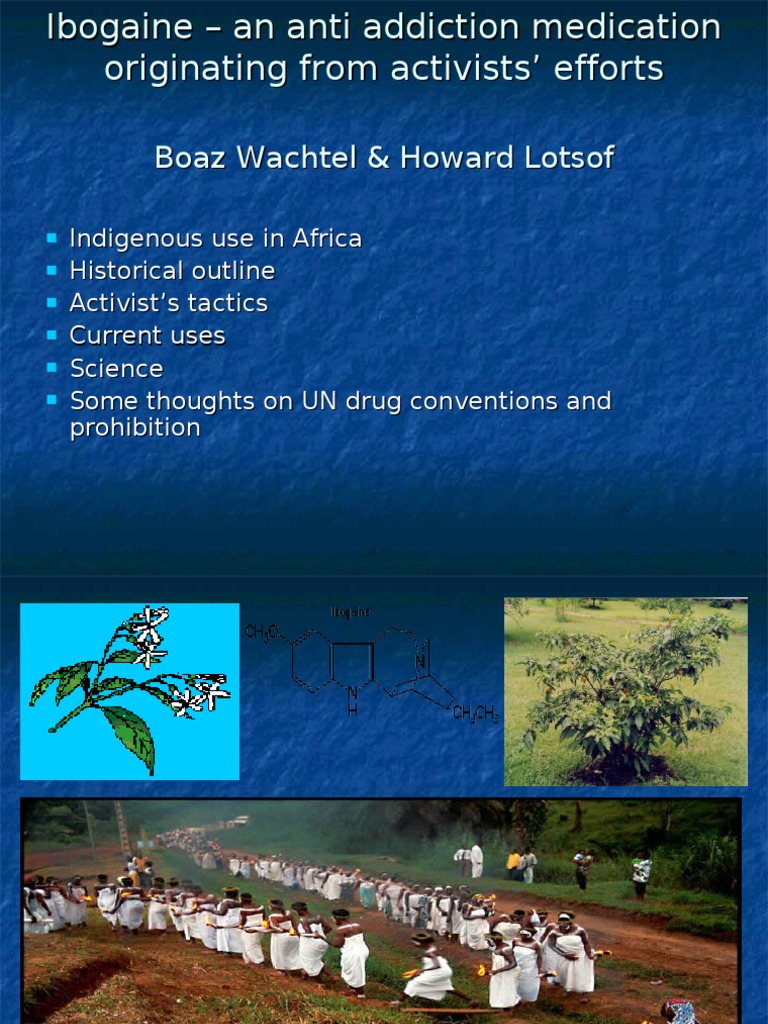Boaz Wachtel & Howard Lotsof | PDF | Substance Dependence | Society