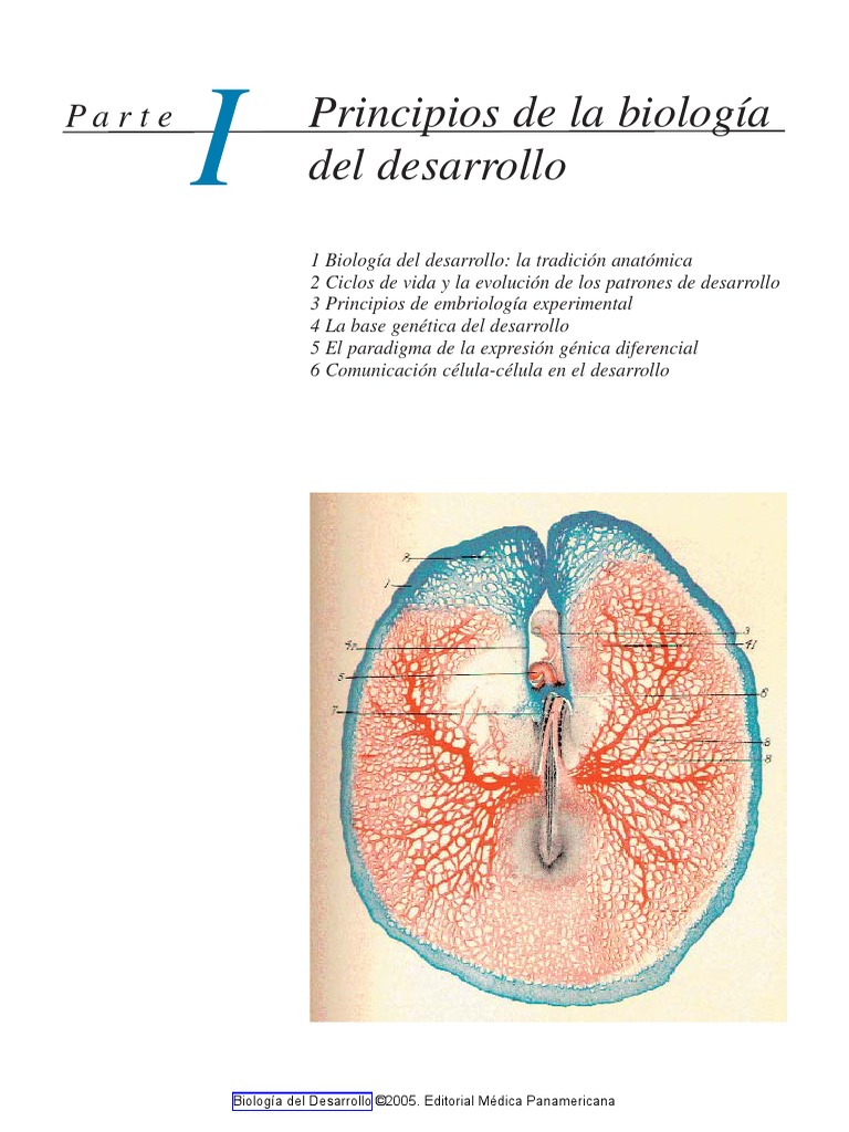 Biología Del Desarrollo 2005