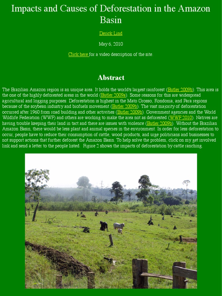 Impacts and Causes of Deforestation in The Amazon Basin | PDF ...