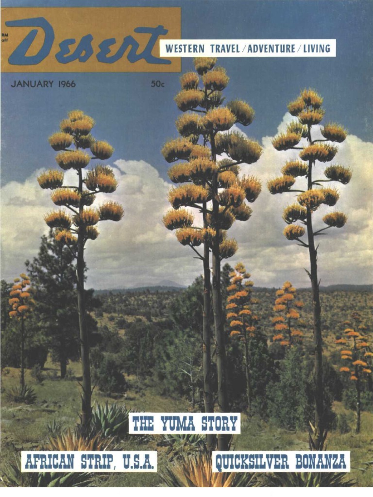 Desert Magazine 1966 January | PDF | Books