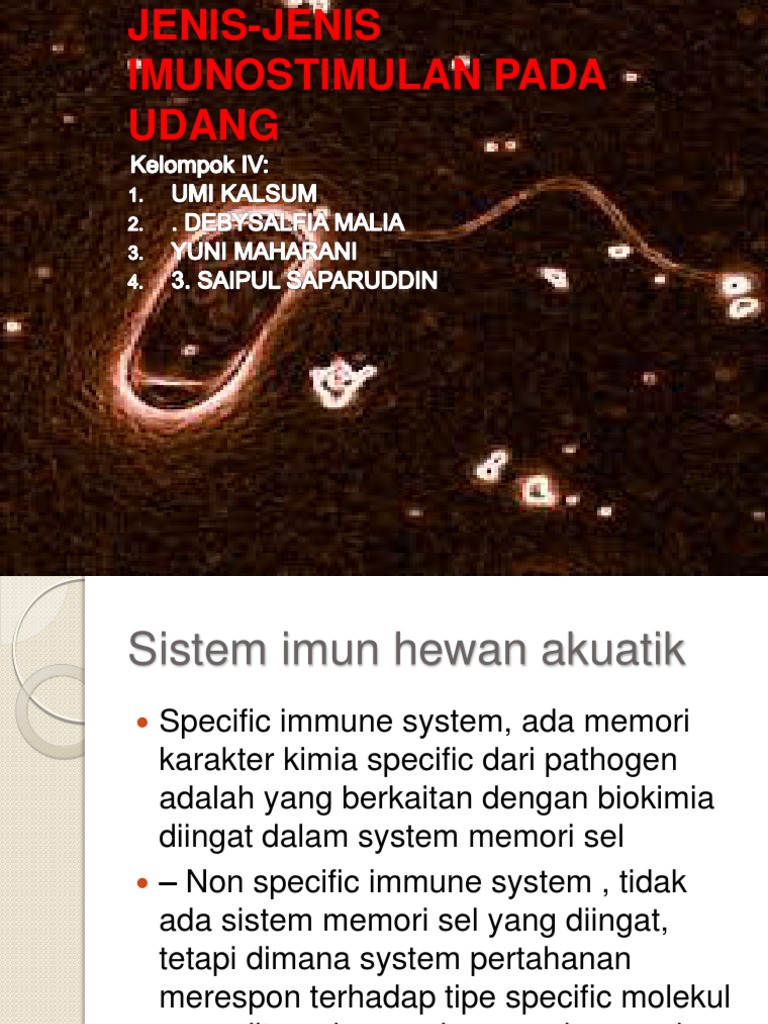 Jenis Imunostimulan untuk Udang | PDF