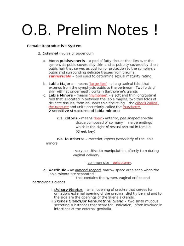 OB Prelim Notes | Download Free PDF | Labia | Miscarriage