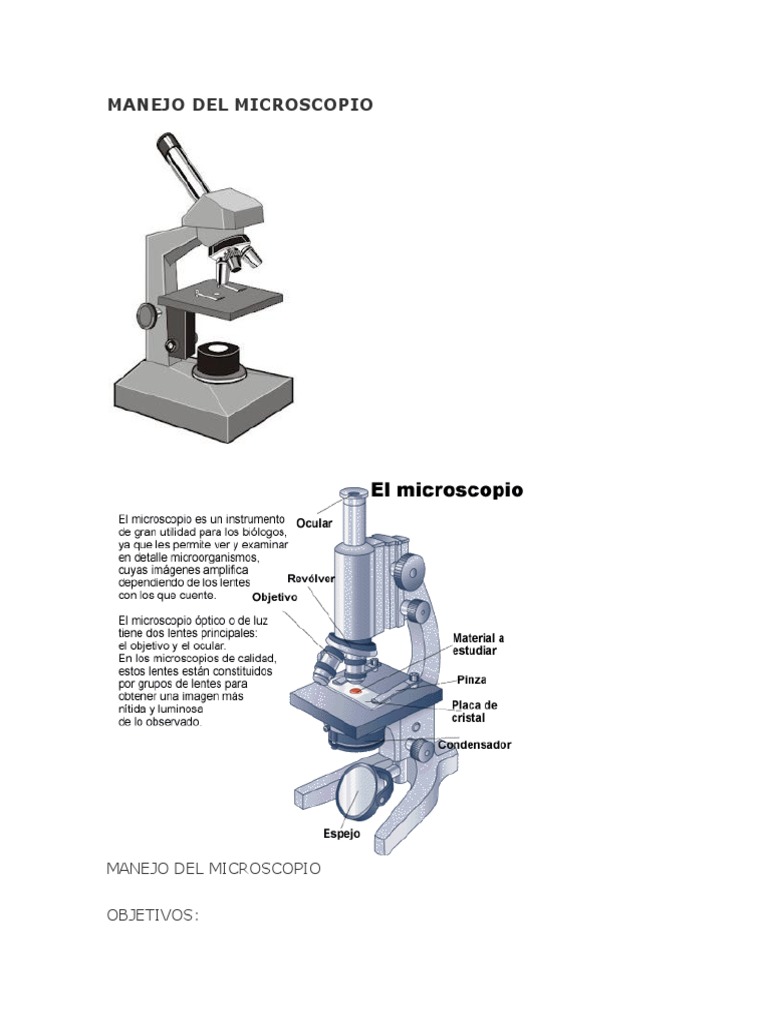 Guía Completa para Manejo de Microscopios | PDF | Óptica | Radiación ...
