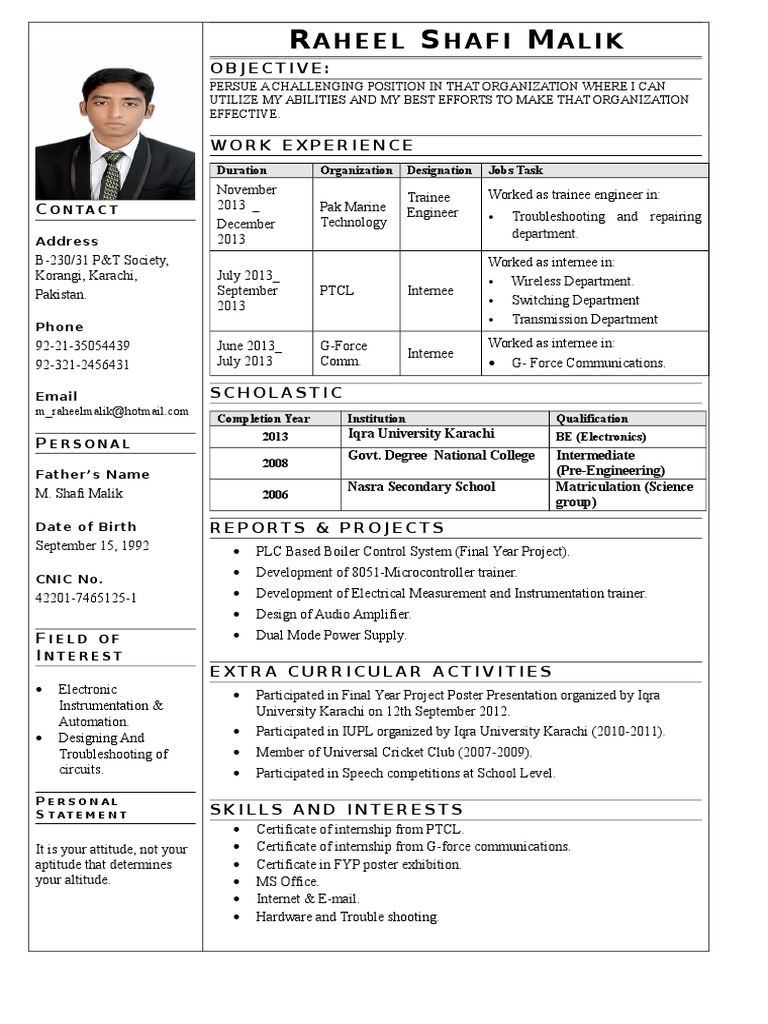 Raheel Shafi Malik's Professional Profile | PDF | Art