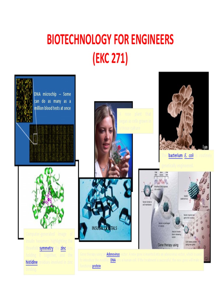 BIOTECH FOR ENGINEERS COURSE OUTLINE | PDF | Biotechnology | Life Sciences
