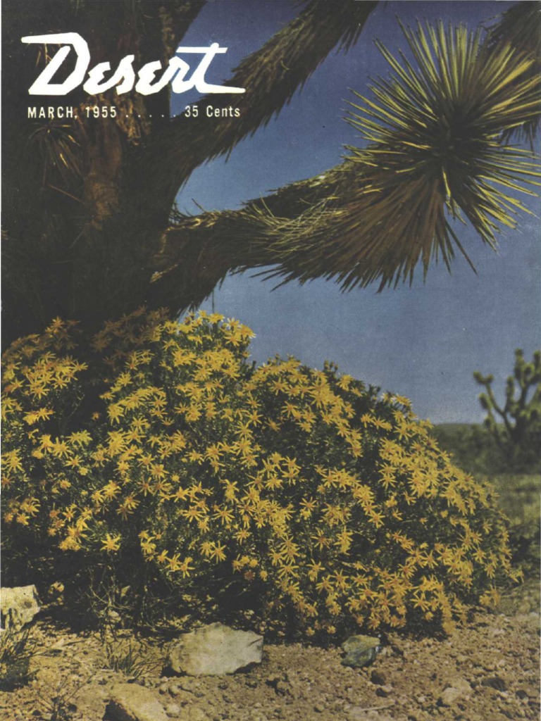 Desert Magazine 1955 March | PDF | Arizona | Motel