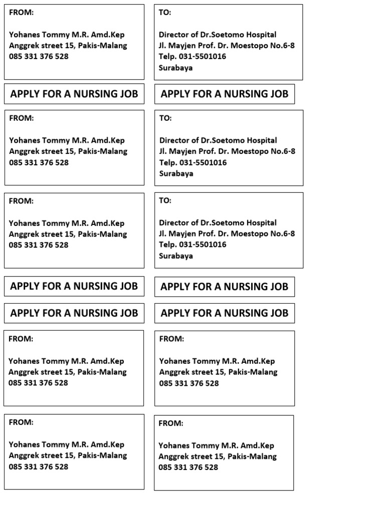 Nursing Job Application to Dr. Soetomo | PDF