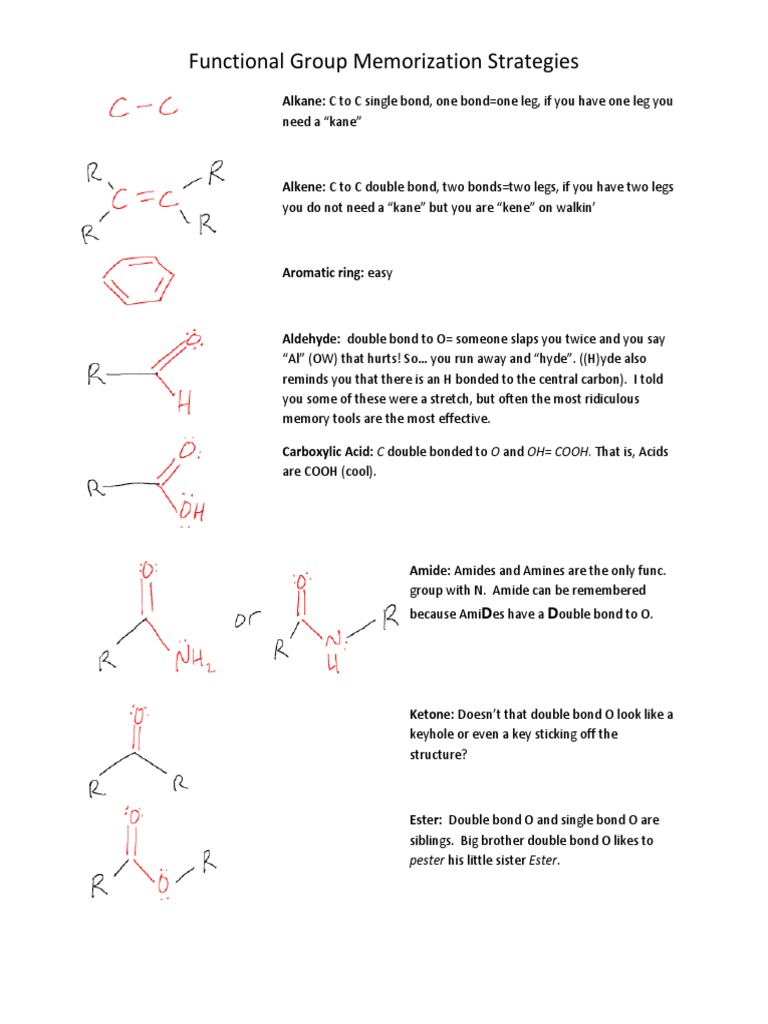 Functional Group Memorization Strategies: Pester His Little Sister ...