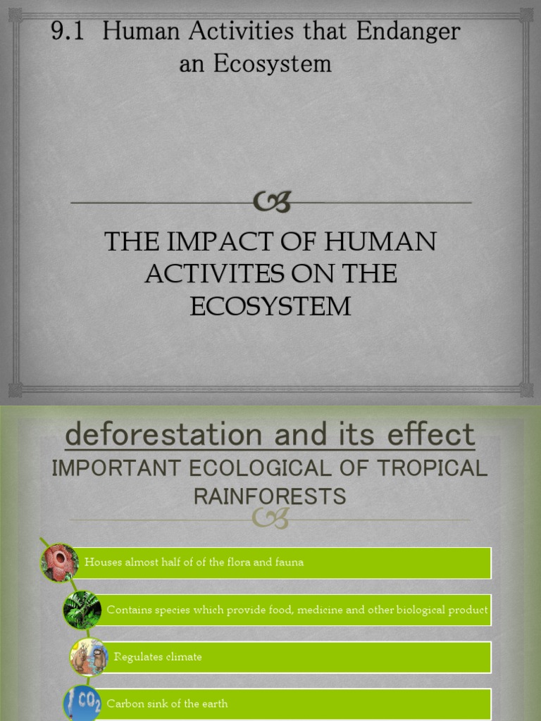 Effects of Deforestation on Ecosystems | PDF | Technology & Engineering