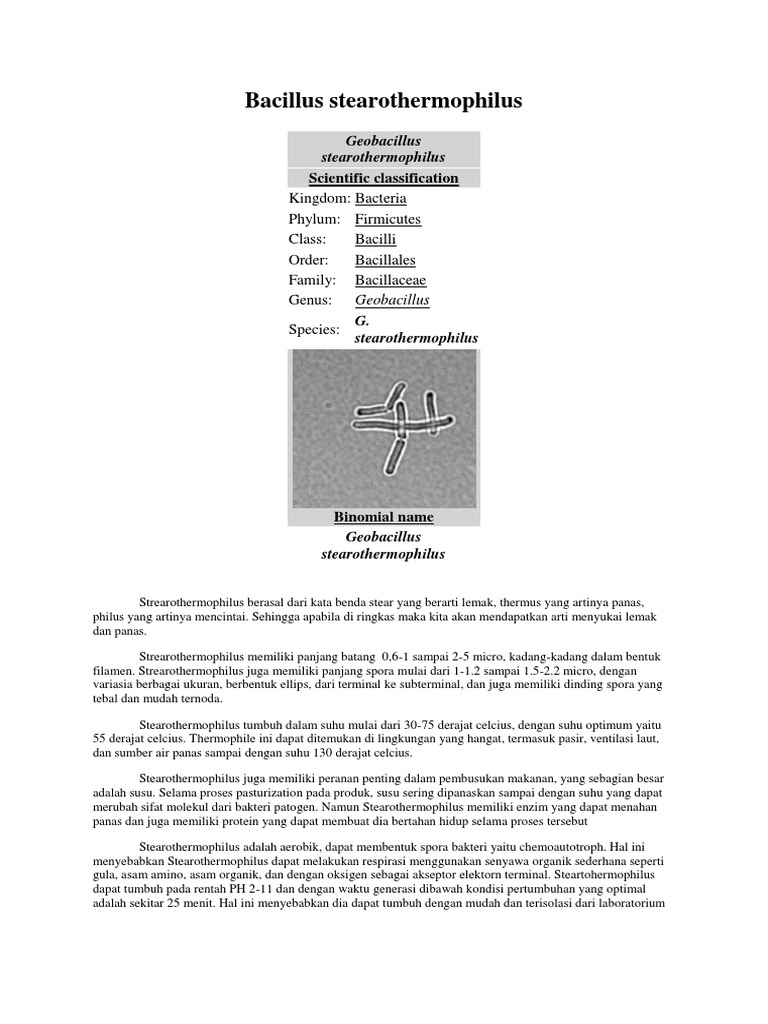 Bacillus Stearothermophilus | PDF