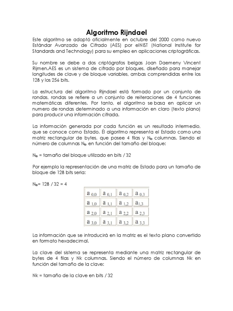 Algoritmo Rijndael | PDF | Clave (criptografía) | Criptografía