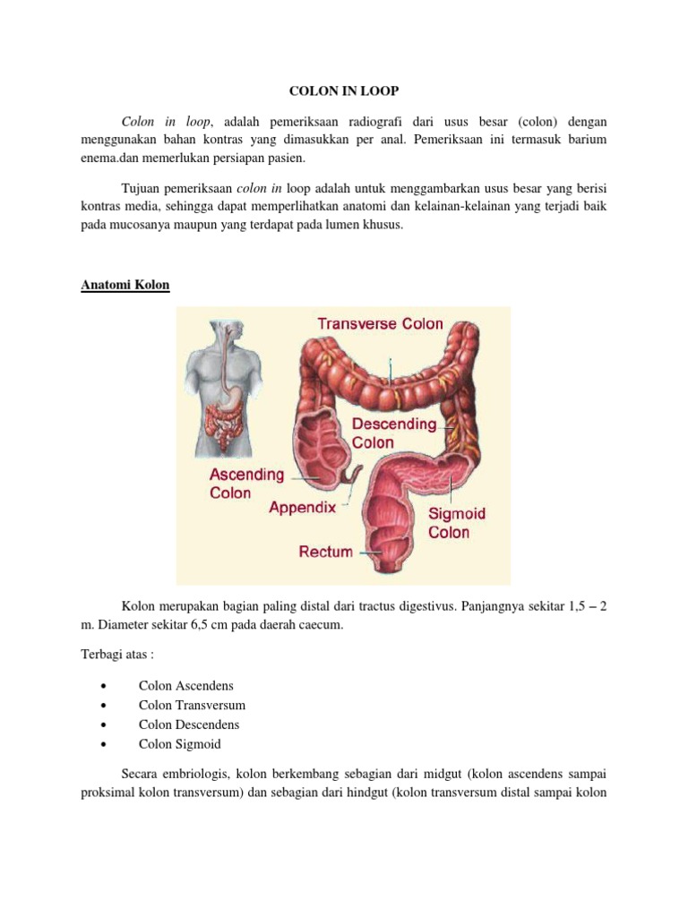Colon in Loop | PDF
