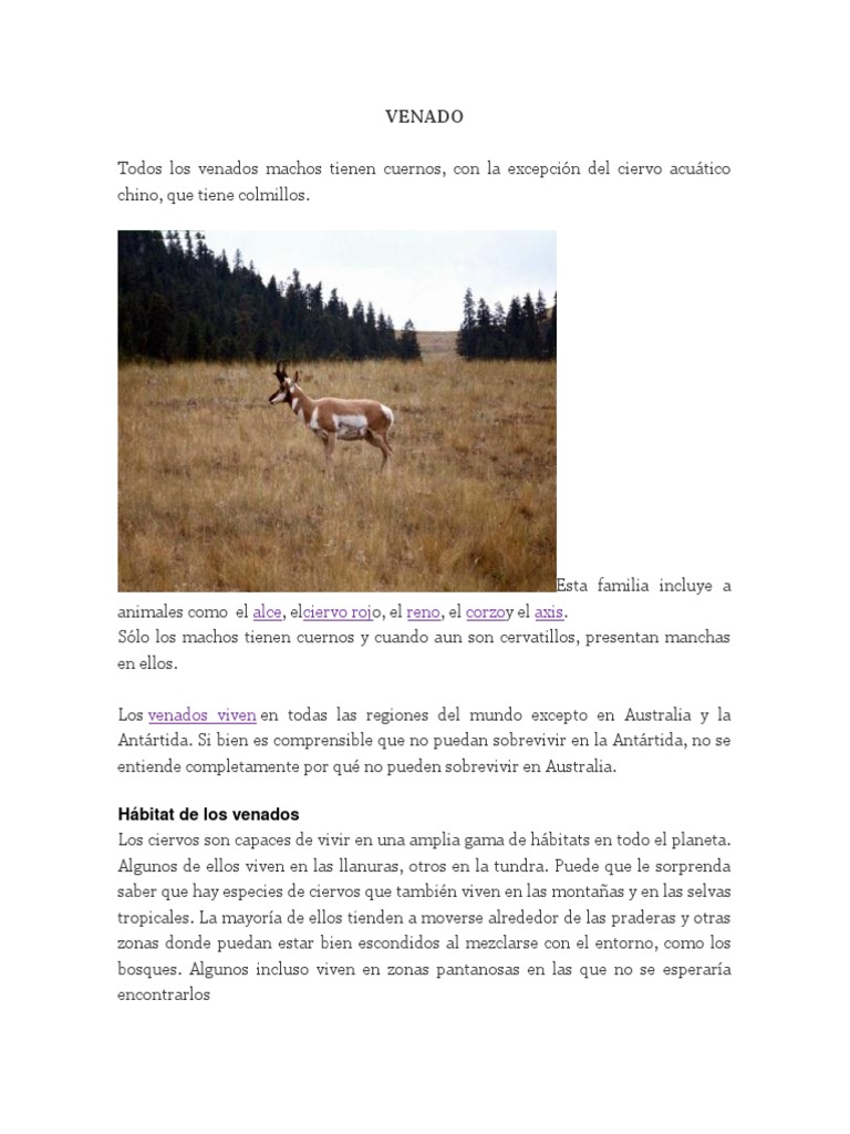 VENADO | PDF | Ciervo | Extinción