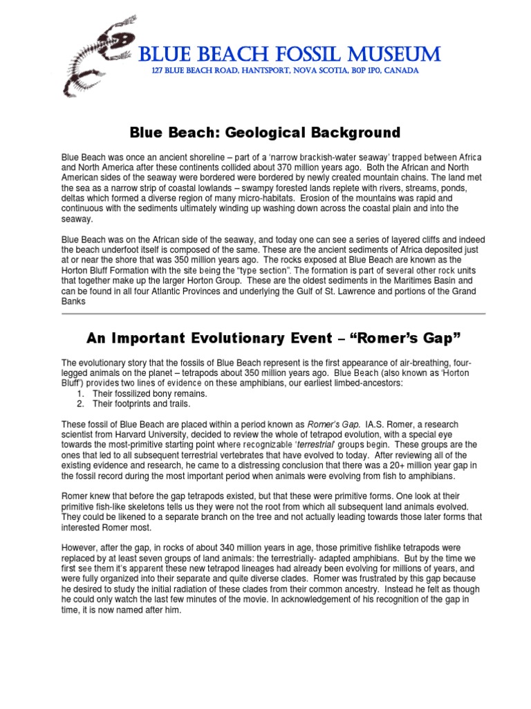 Blue Beach Fossil Museum Overview | PDF | Science | Paleontology
