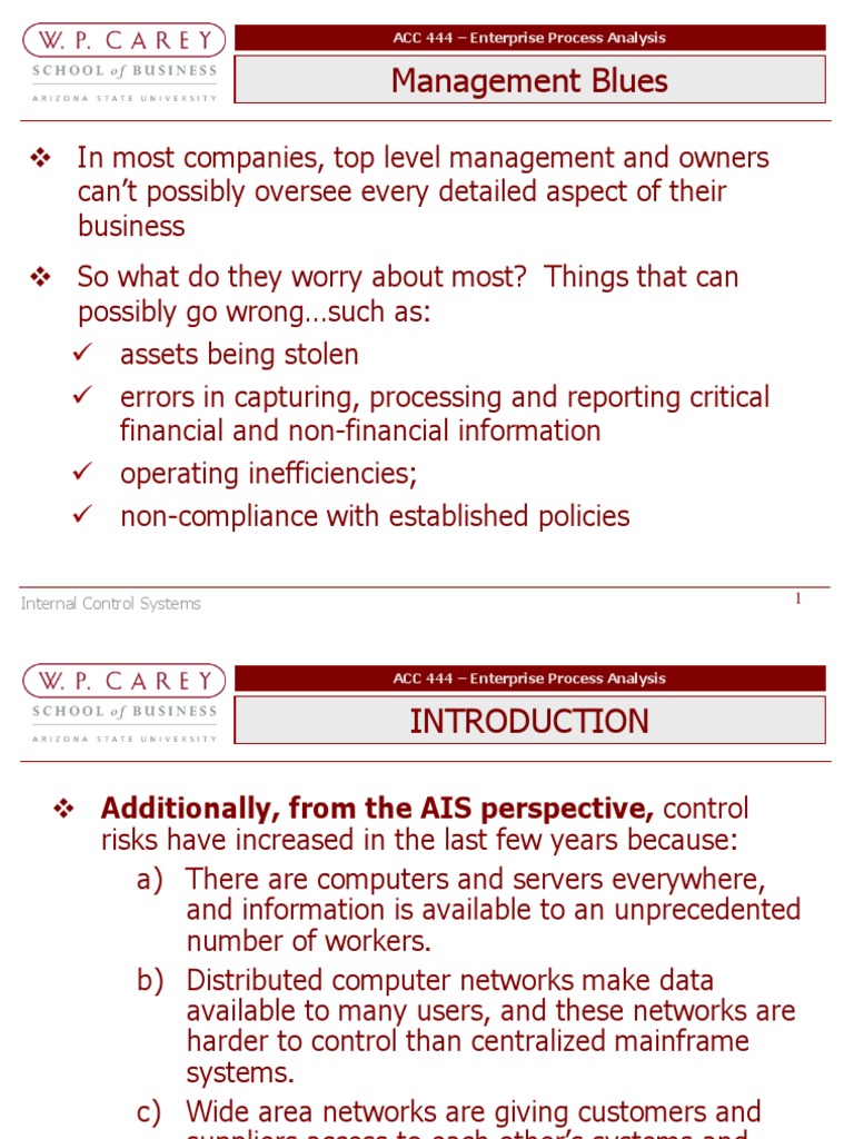 Internal Control Systems | PDF | Sarbanes–Oxley Act | Risk