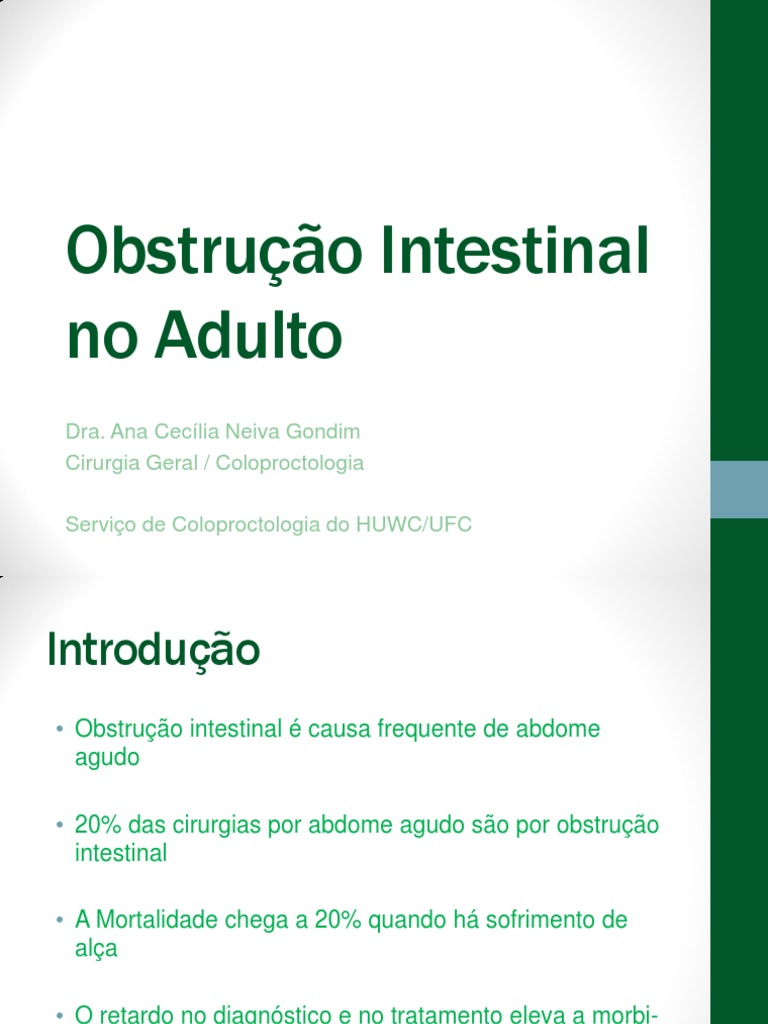 Obstrução Intestinal em Adultos: Causas e Tratamento | PDF ...