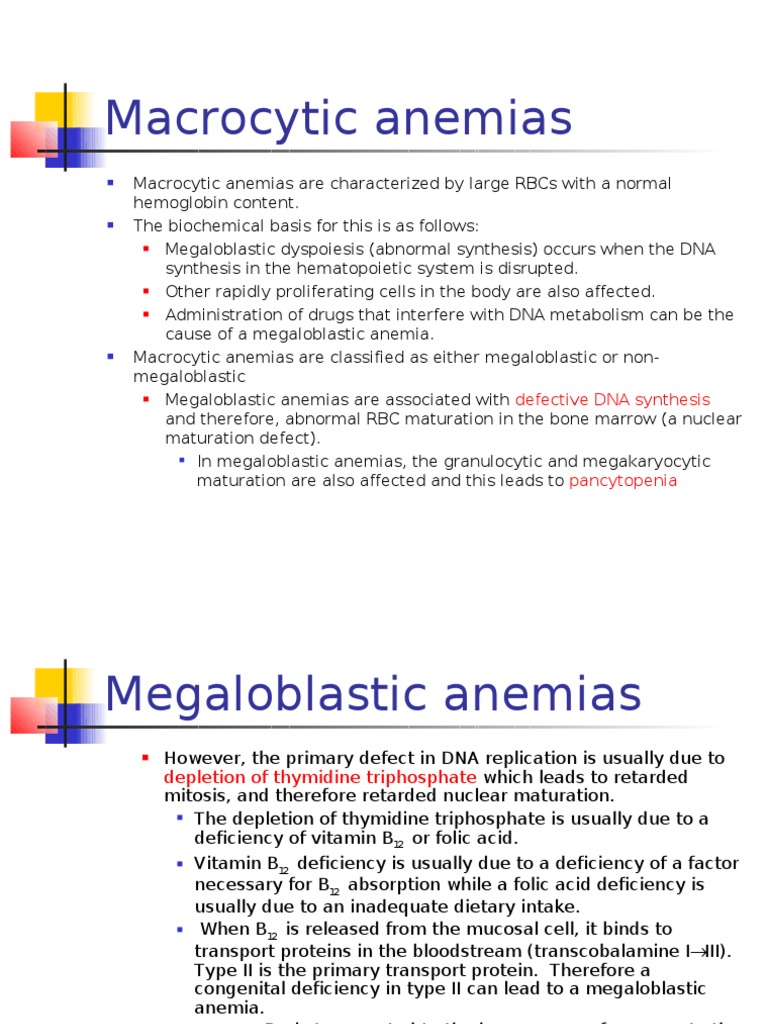 Macrocytic Anemias: Defective DNA Synthesis | PDF | Anemia | Vitamin B12