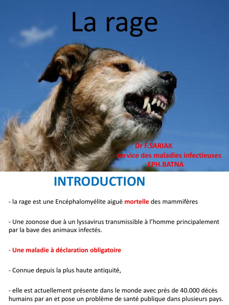 la rage.pptx | Rage (maladie) | Vaccination