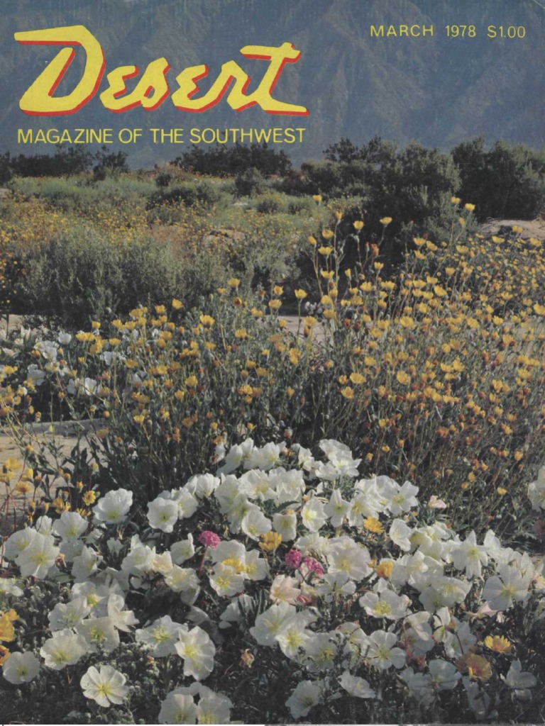 Desert Magazine 1978 March | Download Free PDF | Mail | Publishing