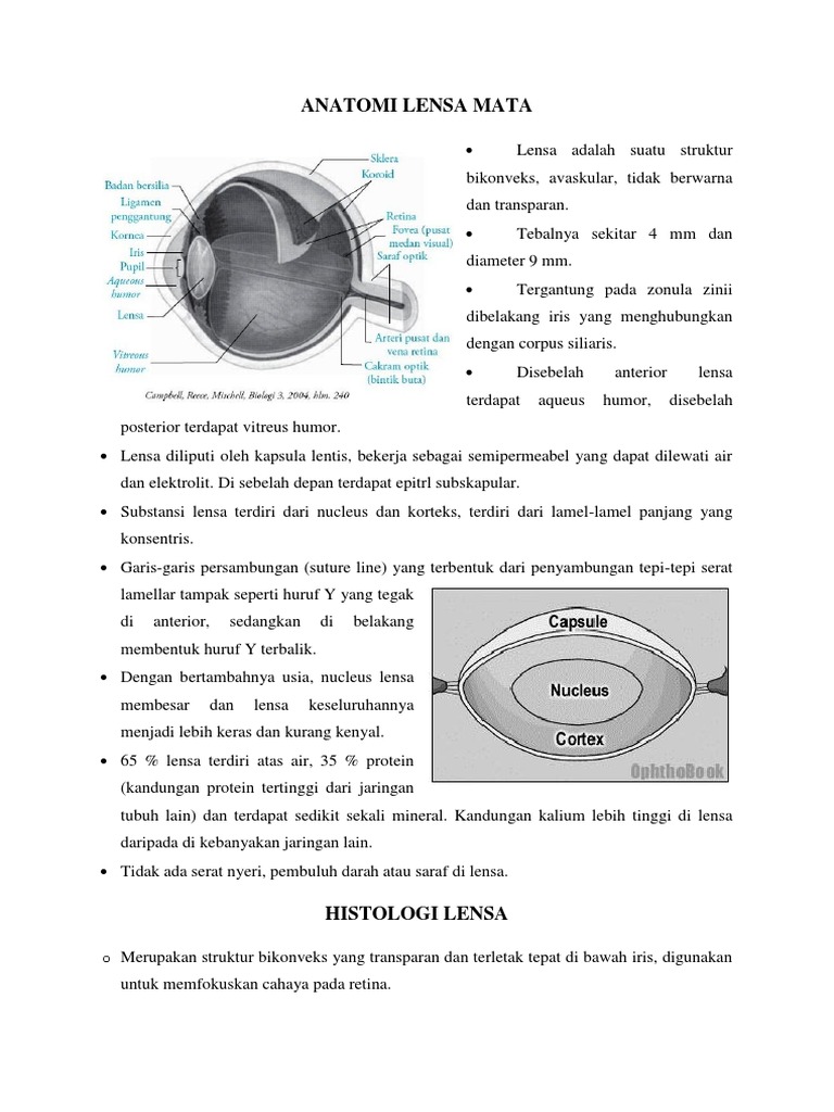 ANATOMI LENSA | PDF