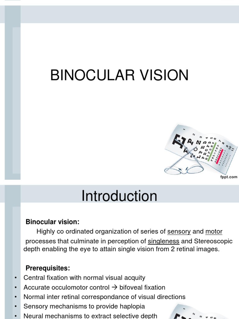 Binocular Vision | PDF | Visual Perception | Visual System