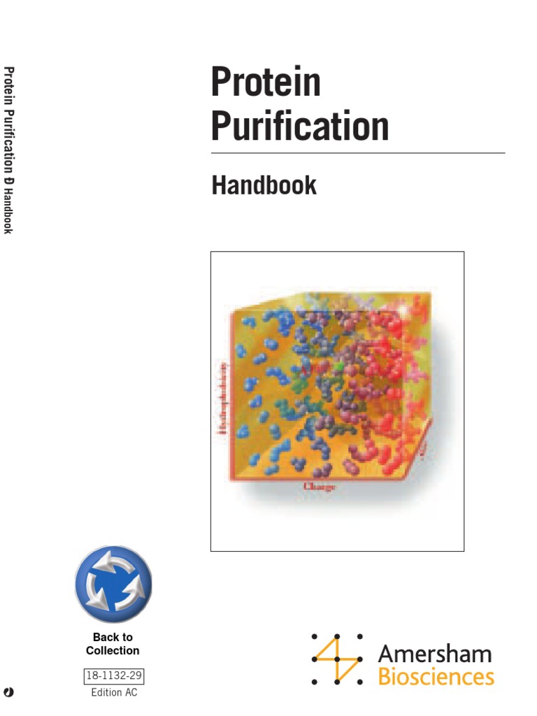 Protein Purification | PDF | Protein Purification | Chromatography