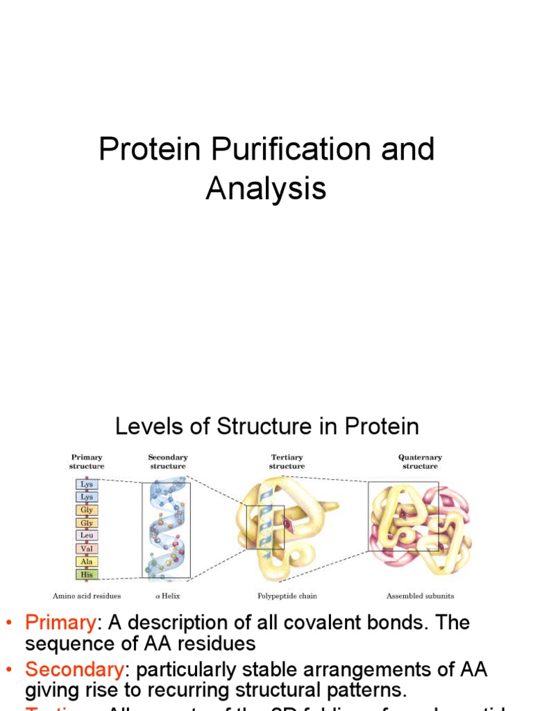 Protein Purification Techniques Overview | PDF | Gel Electrophoresis ...