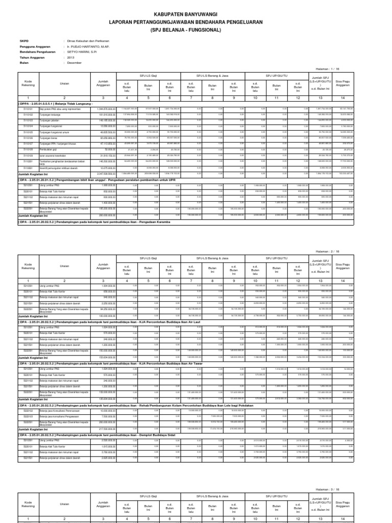 SPJ Fungsional Dinas Kelautan Perikanan | PDF