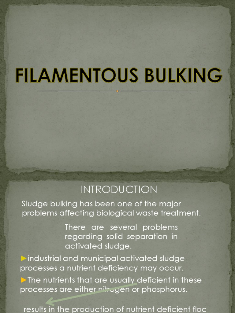 Filamentous Bulking | PDF | Environmental Engineering | Chemical Substances