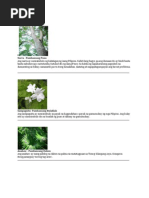 Activity For Grade 7 - AP 3.1 Nasyonalismo | PDF