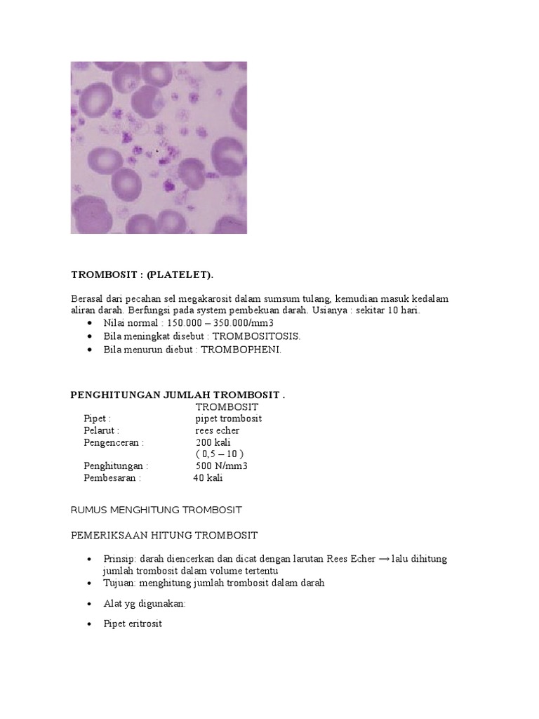 Cara Menghitung Trombosit | PDF