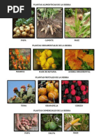 PLANTAS MEDICINALES DE LA COSTA PERUANA.docx