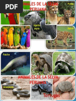 Mapa de La Selva Peruana | PDF