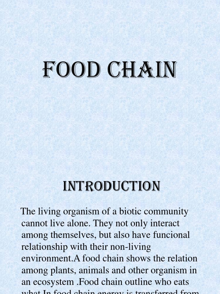 Food Chain PPT Final Report New | PDF | Food Web | Systems Ecology