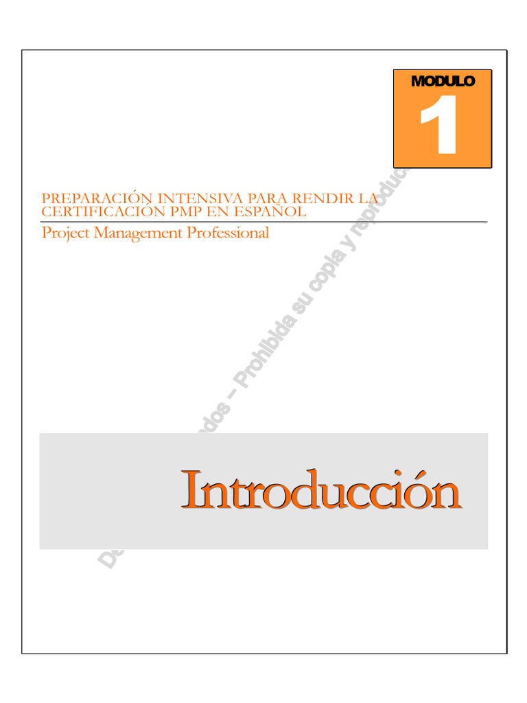 Preparación Intensiva para Rendir La Certificación PMP en Español V.1.0 ...