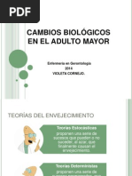 Tipos de Envejecimiento | PDF | Envejecimiento | Sistema inmune