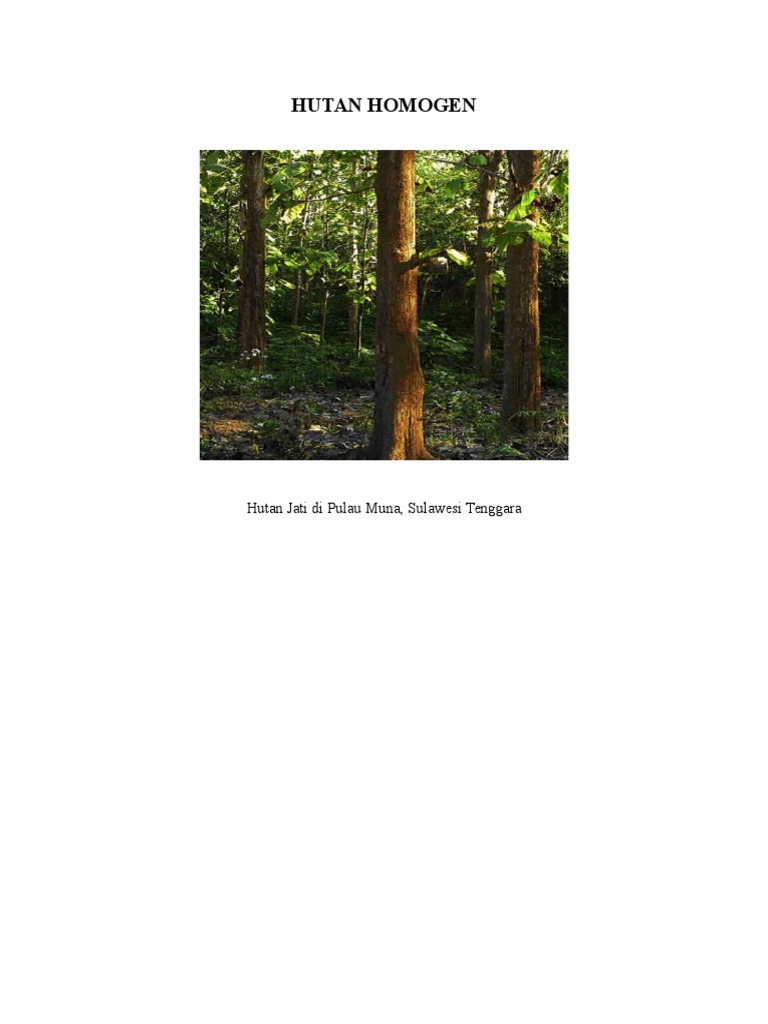 Hutan Homogen Dan Heterogen | PDF