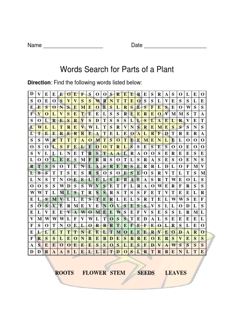 Parts of A Plant Word Search | PDF