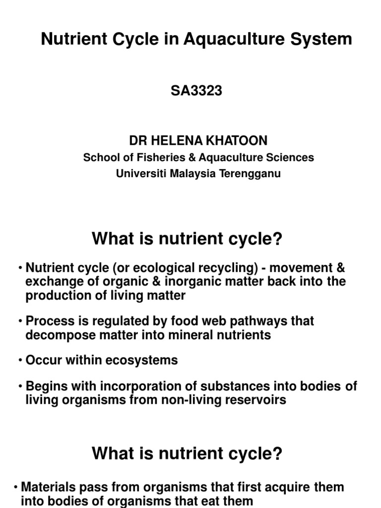 Nutrient Cycling in Aquatic Ecosystems: A Comprehensive Review of the ...