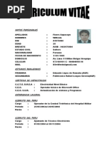 Ejemplo de CV Documentado | PDF | Ciencias de la Computación | Computadoras personales