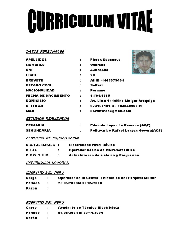 Curriculum Vitae Documentado | PDF