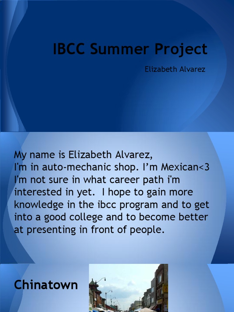 IBCC Summer Project Insights and Experiences | PDF | Art