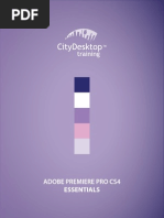 Adobe Premiere Pro Tutorial Guide 2020 | PDF | Computers