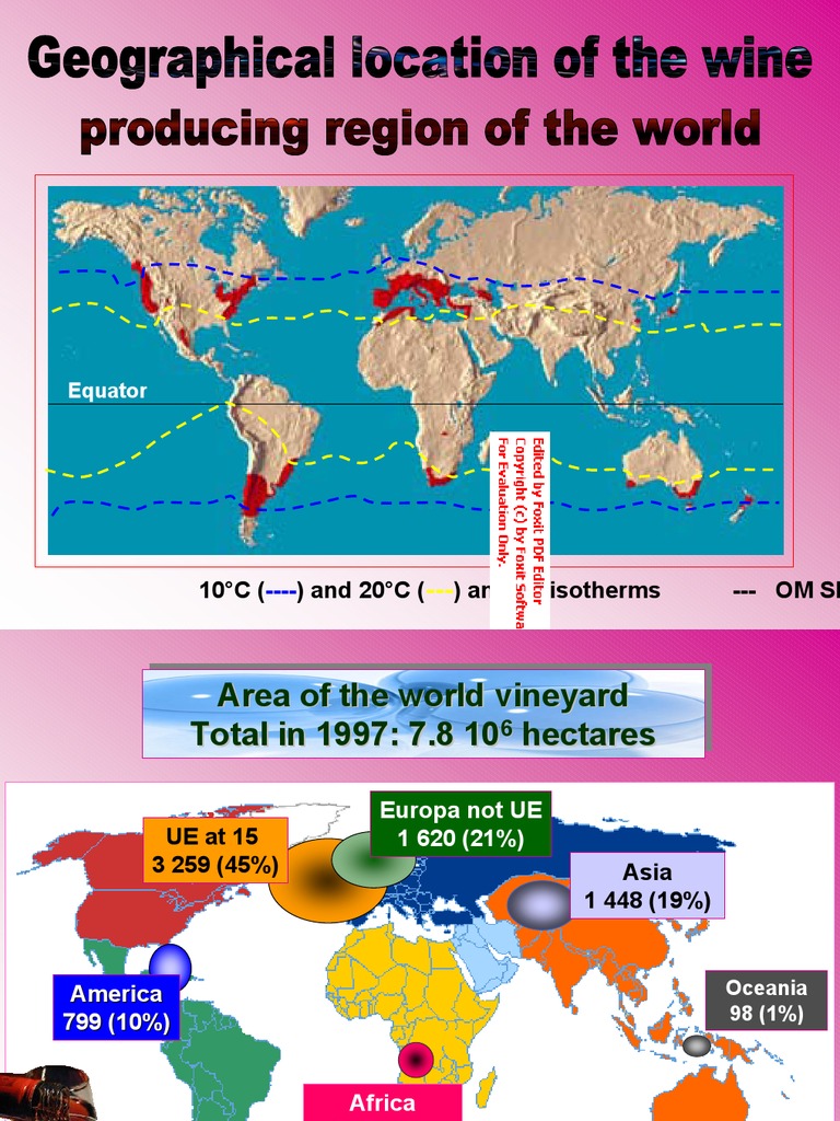Wine Classification and Wine Making Process | PDF | Wine | Phenolic ...