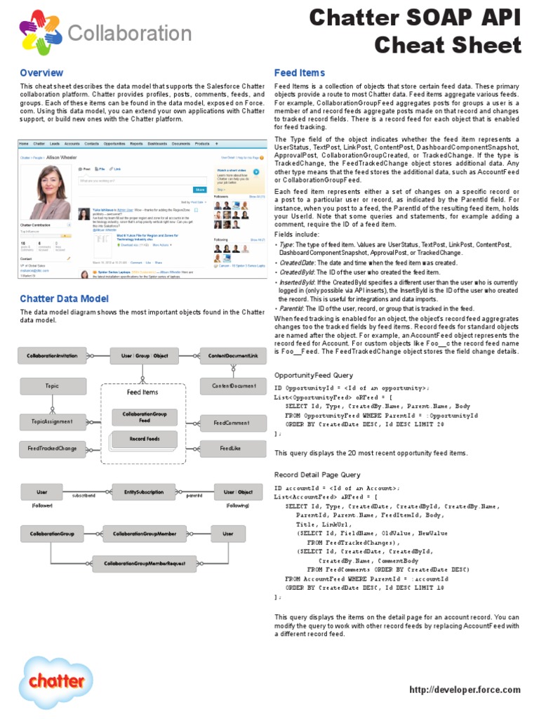 Salesforce Chatter Developer Cheatsheet Pdf Data Model Salesforce Com