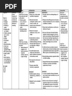 Nursing Care Plan for Pneumonia | PDF | Breathing | Respiratory Tract