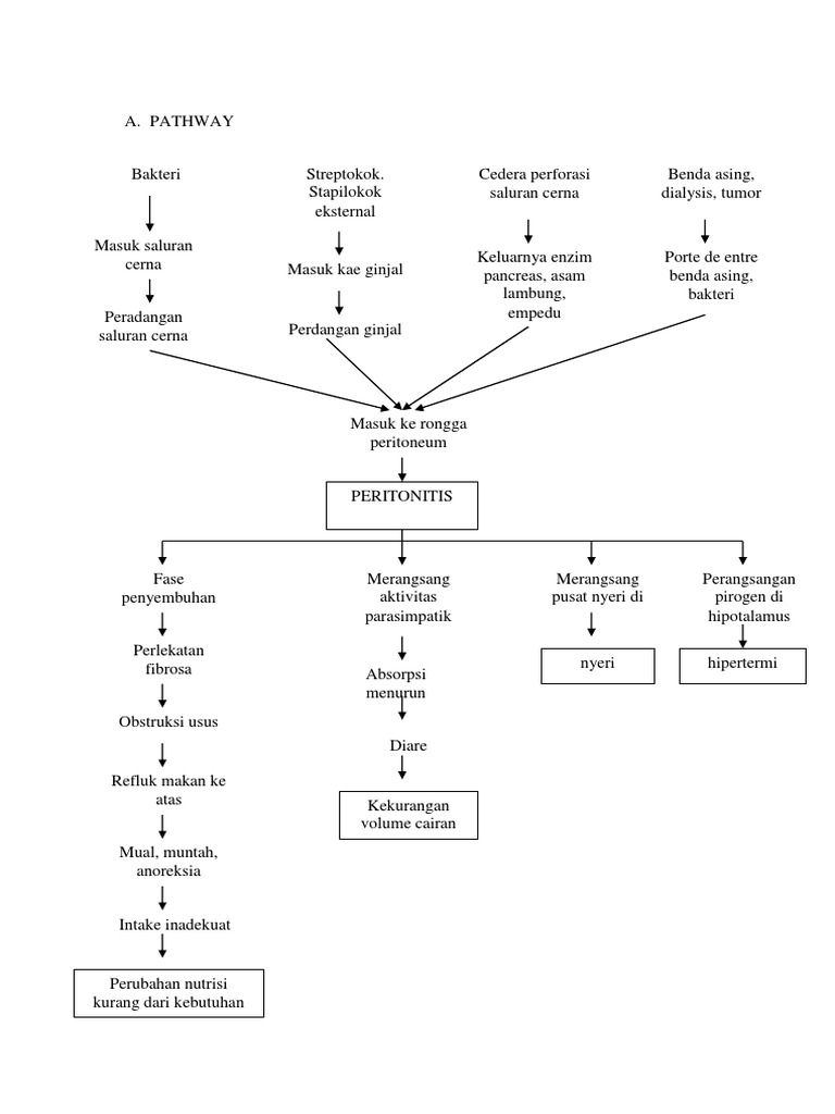 PATHWAY Peritonitis | PDF