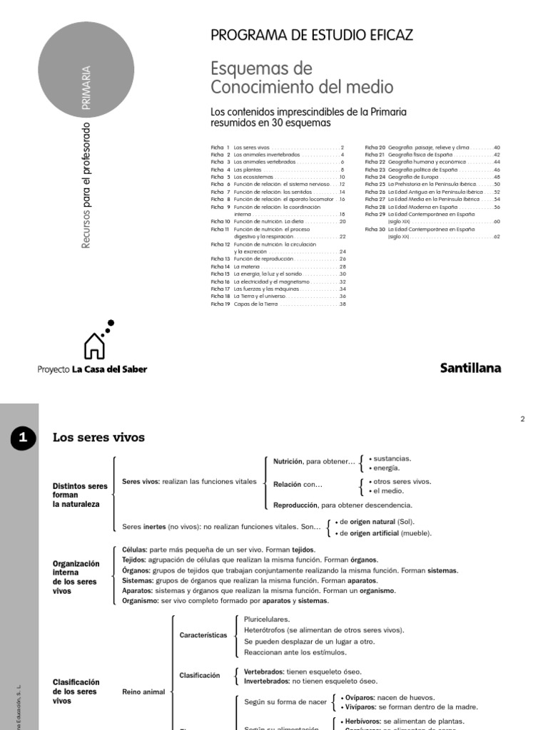 Esquemas - Conocimiento Del Medio - Santillana PDF | PDF