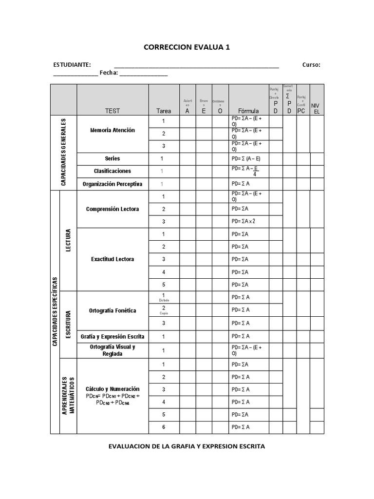 Protocolo Correccion Evalua 1 | PDF