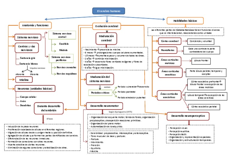 Mapa Conceptual Unidad 1 | PDF